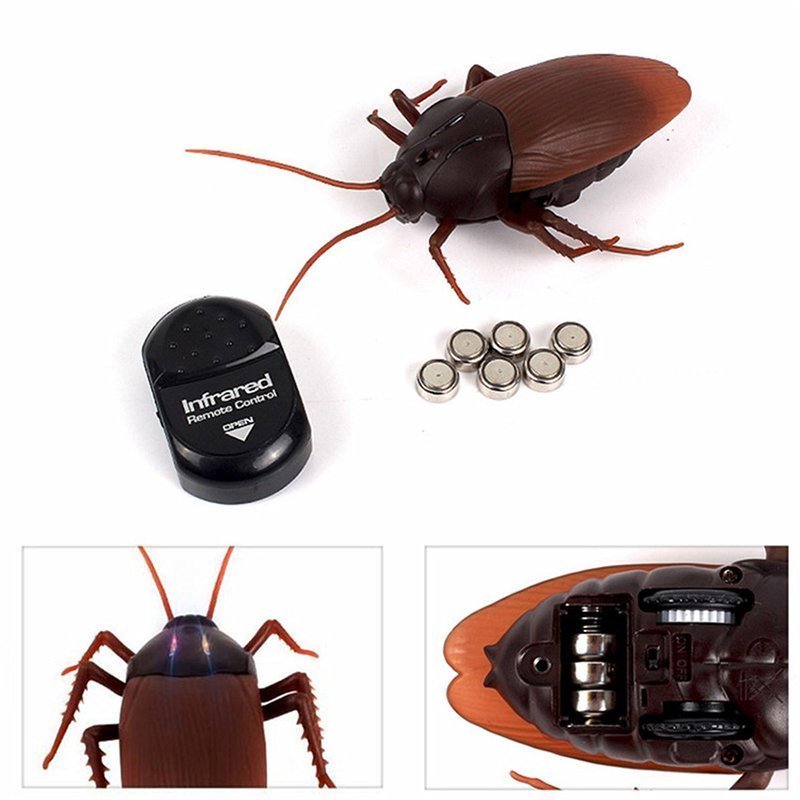 RC Cockroach - up to 80% OFF. Buy from Luxenmart